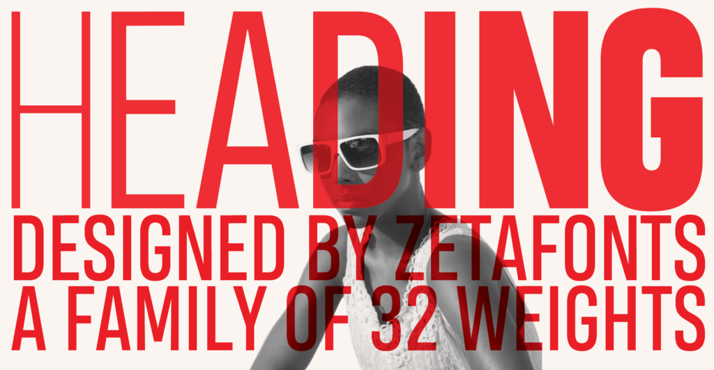 Heading PRO Typeface Family – All Type Fonts
